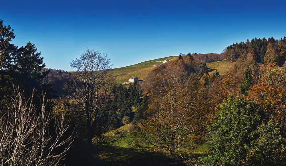 Latte e yogurt prodotti in Lessinia, latte di montagna, Latte biologico ...